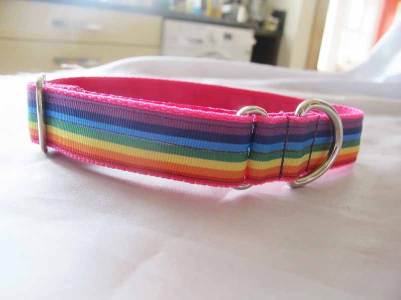 Rainbow 1″ Satin Lined House Collar – Grab A Collar
